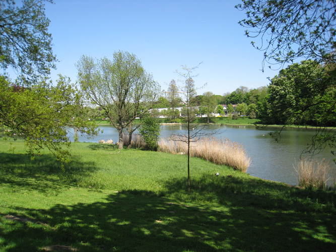 Parc de Woluwe – Inventaire du Patrimoine Naturel