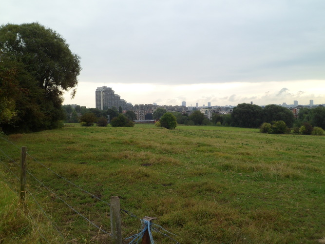 Scheutbos – Inventaire du Patrimoine Naturel